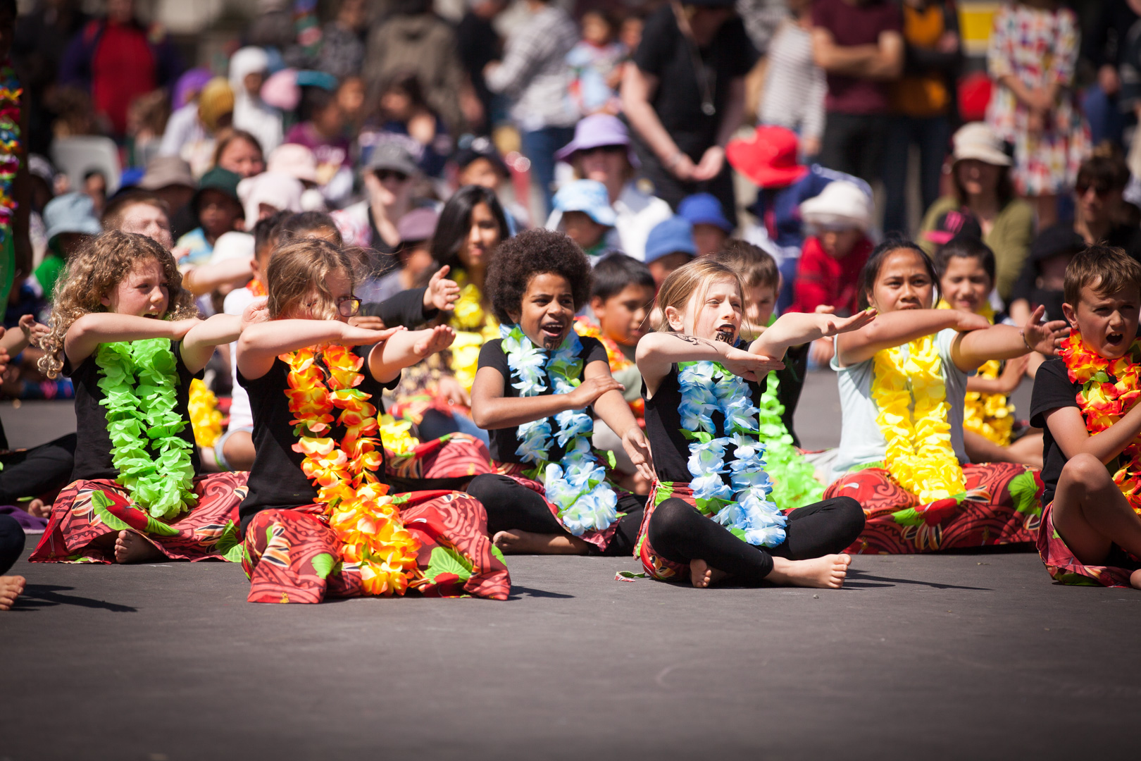 Our School | Newtown School